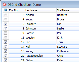 DBGrid에서 체크박스로 멀티셀렉트 하기 - Imp on Delphi & C++Builder